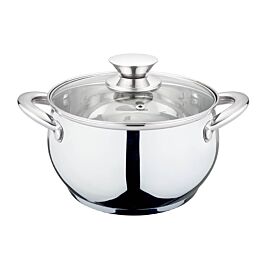 Stainless Steel Saucepot with Glass Lid